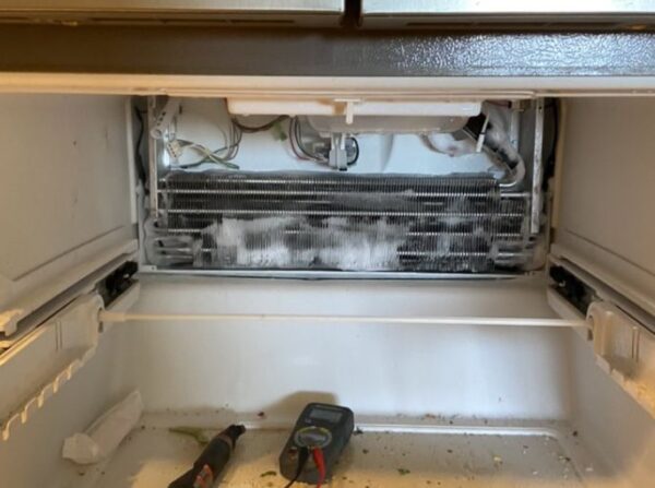 What Is Freezer Burns? Secrets of Frozen Food Preservation